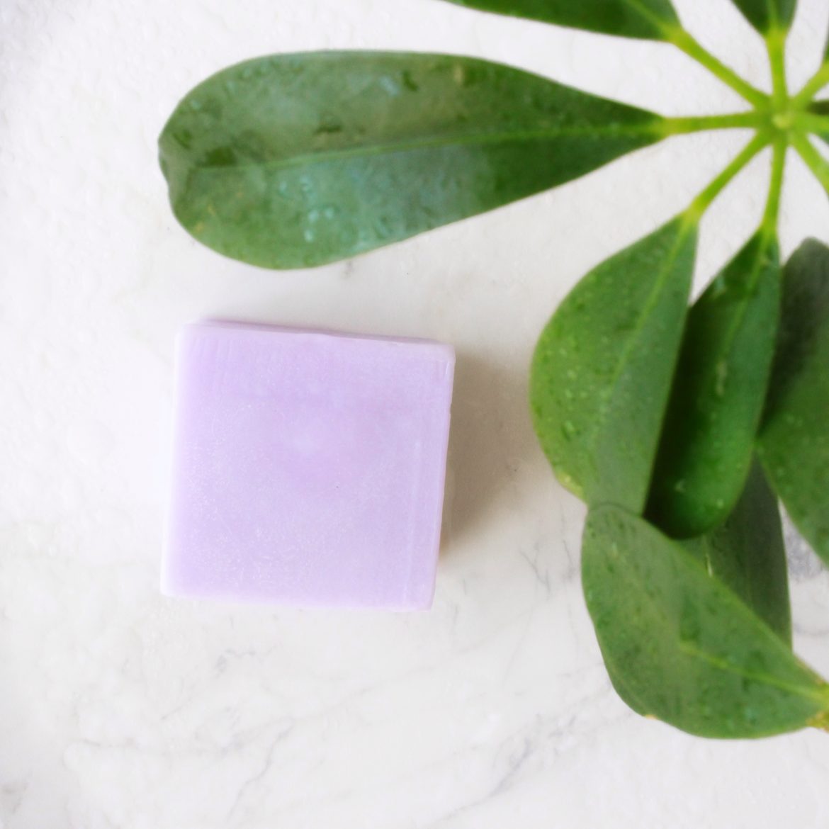 shampoo and conditioner bars from be.bare ^ – The Green Vegan Chick